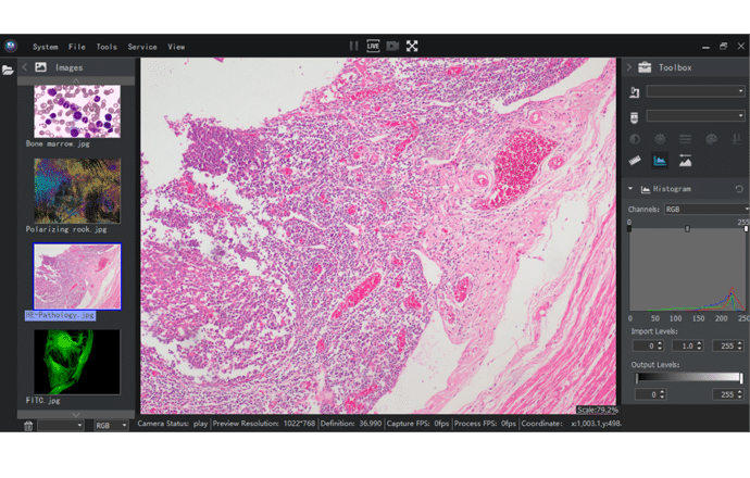 MSHOT Digital Imaging Analysis System V1.1.6 – P2 Innovation